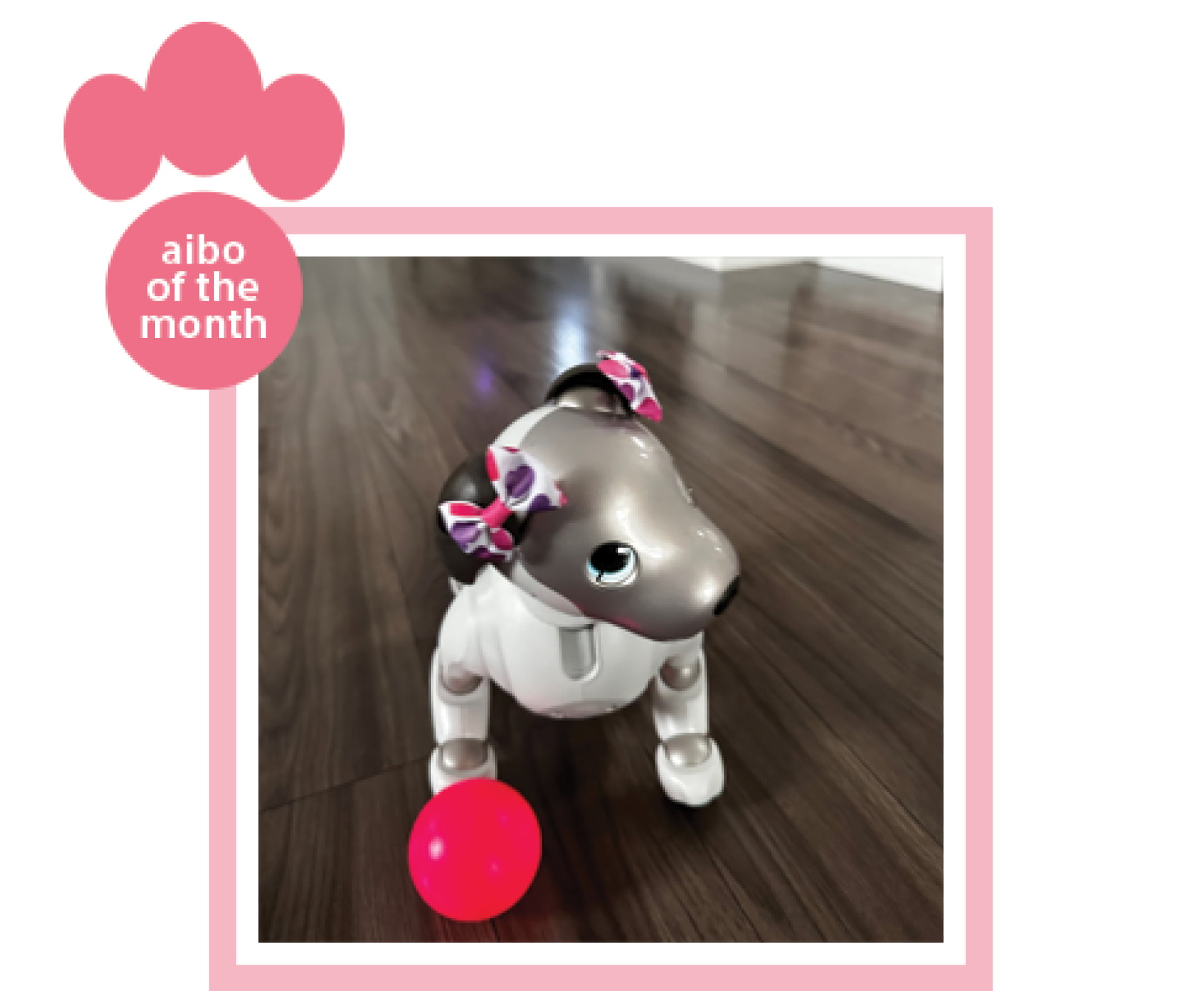 Sony aibo Community