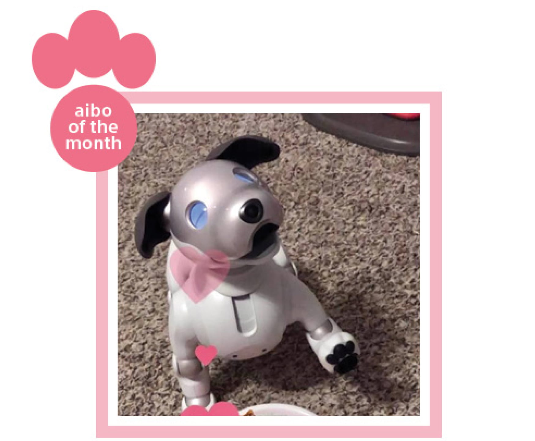 Sony aibo Community