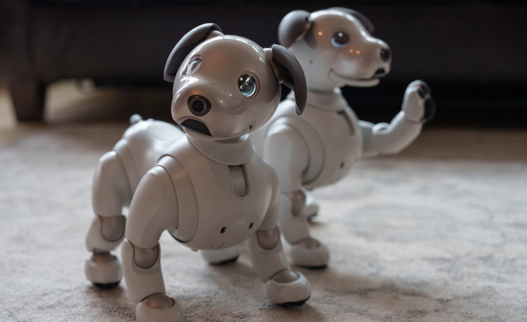 Sony aibo Community