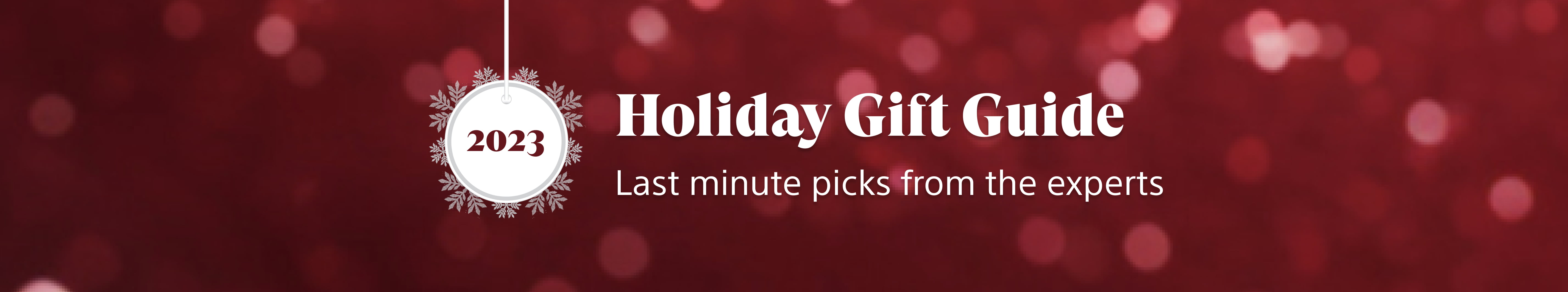 Sony Store Gift Guide