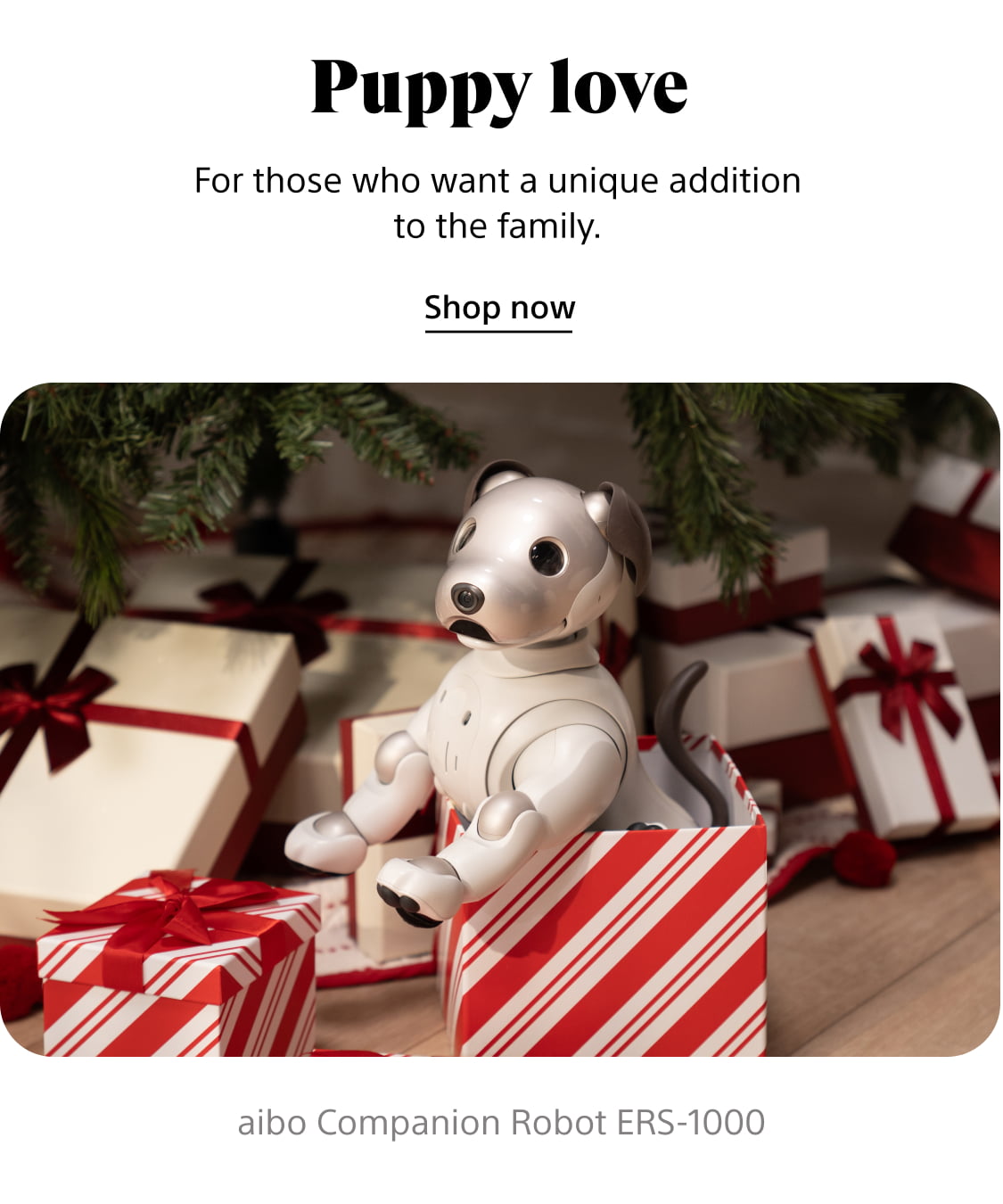 Sony Store Gift Guide