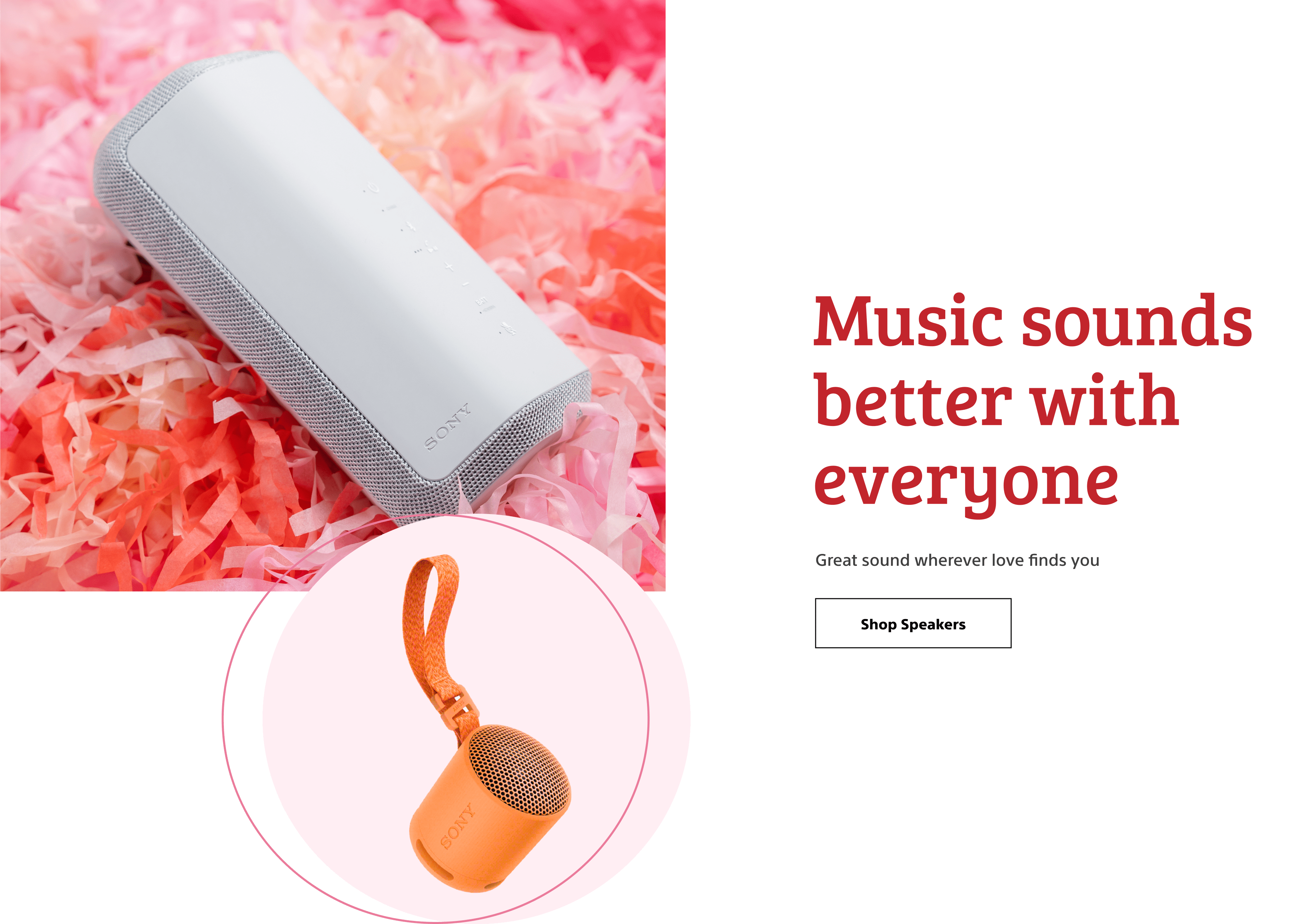 Sony Store Gift Guide