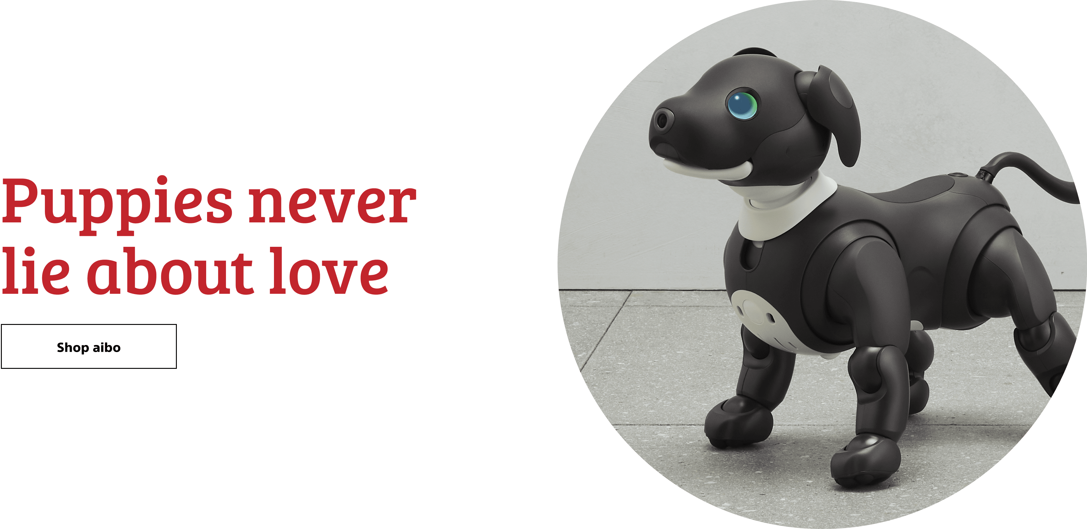 Sony Store Gift Guide