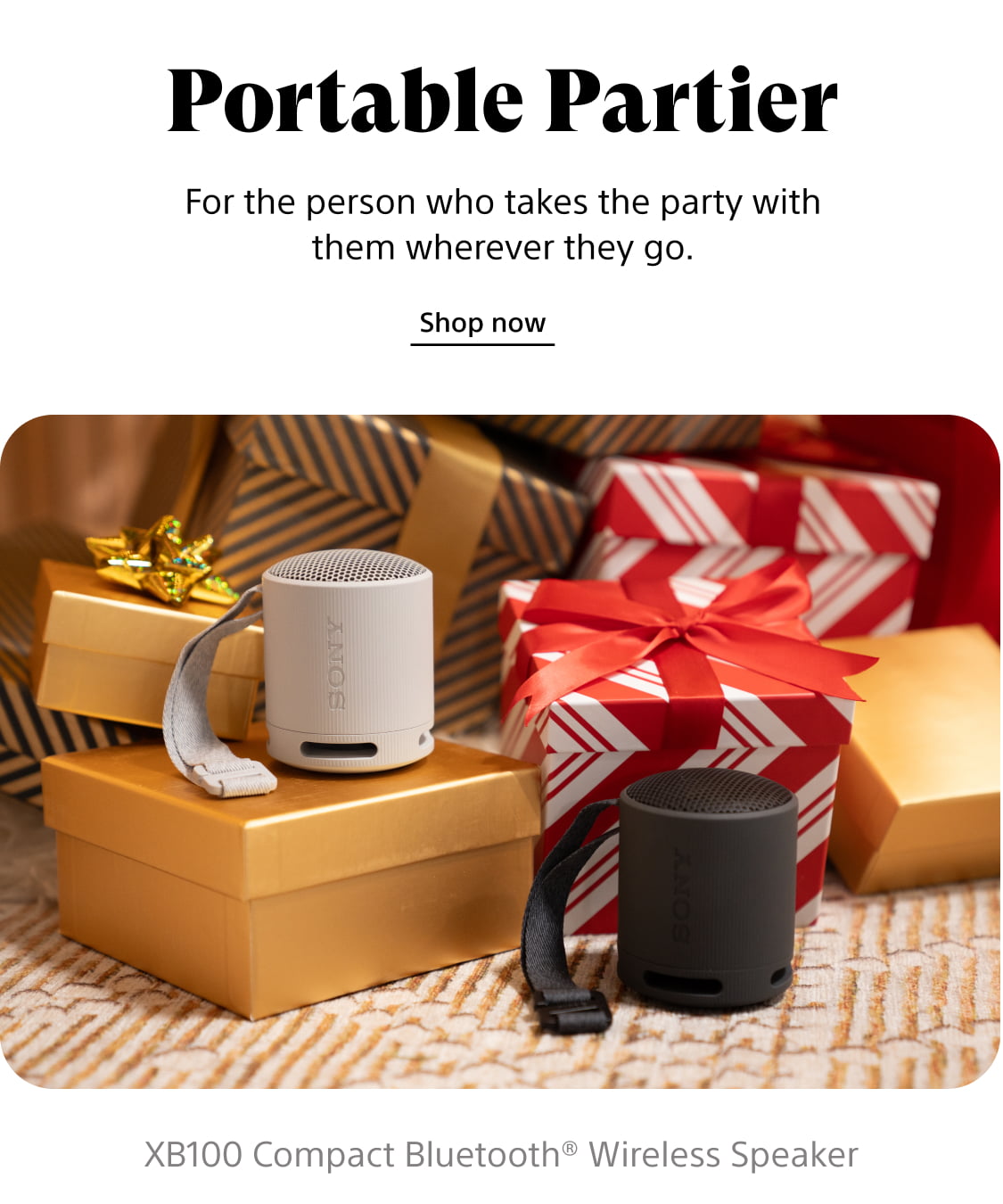 Sony Store Gift Guide