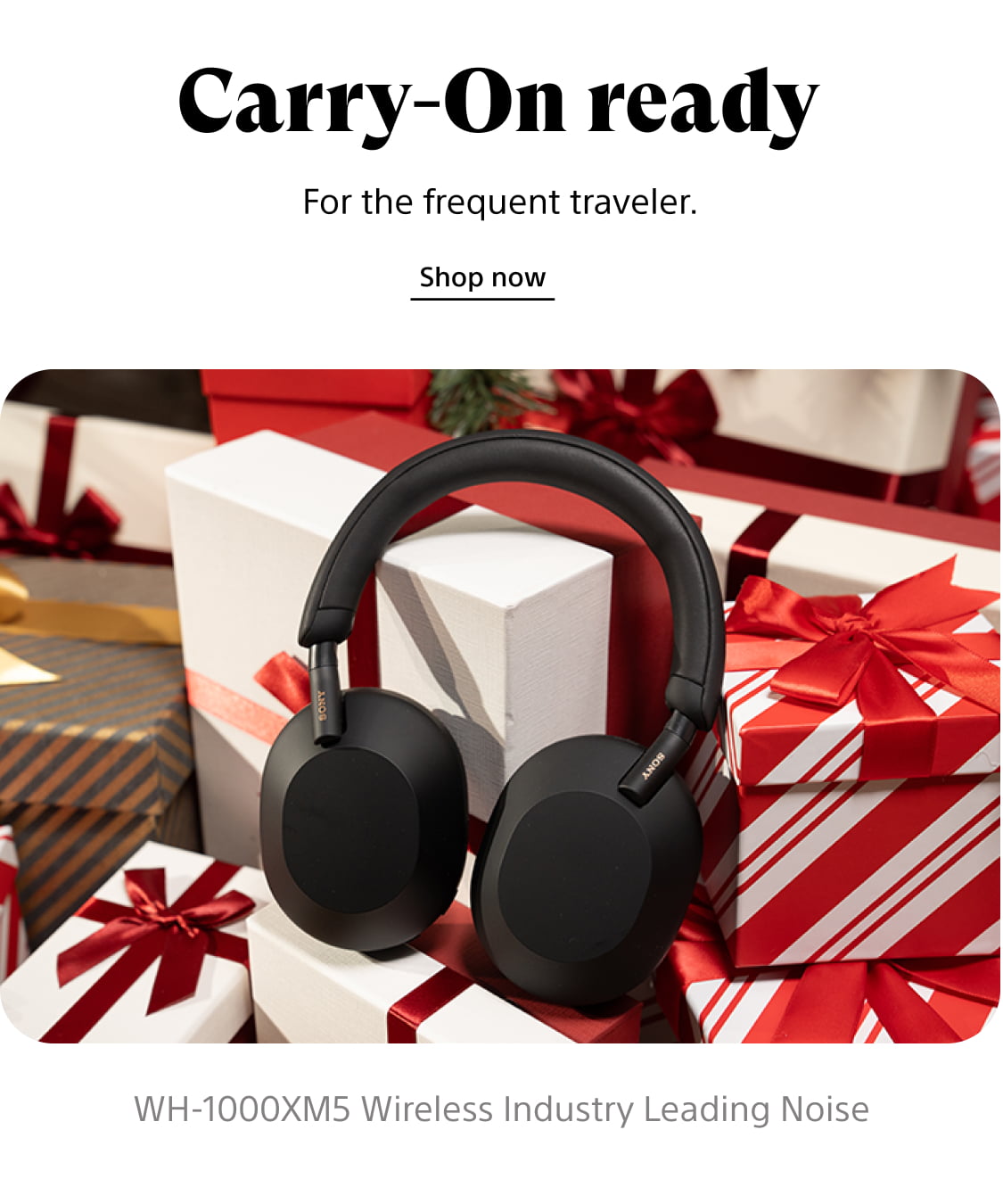 Sony Store Gift Guide