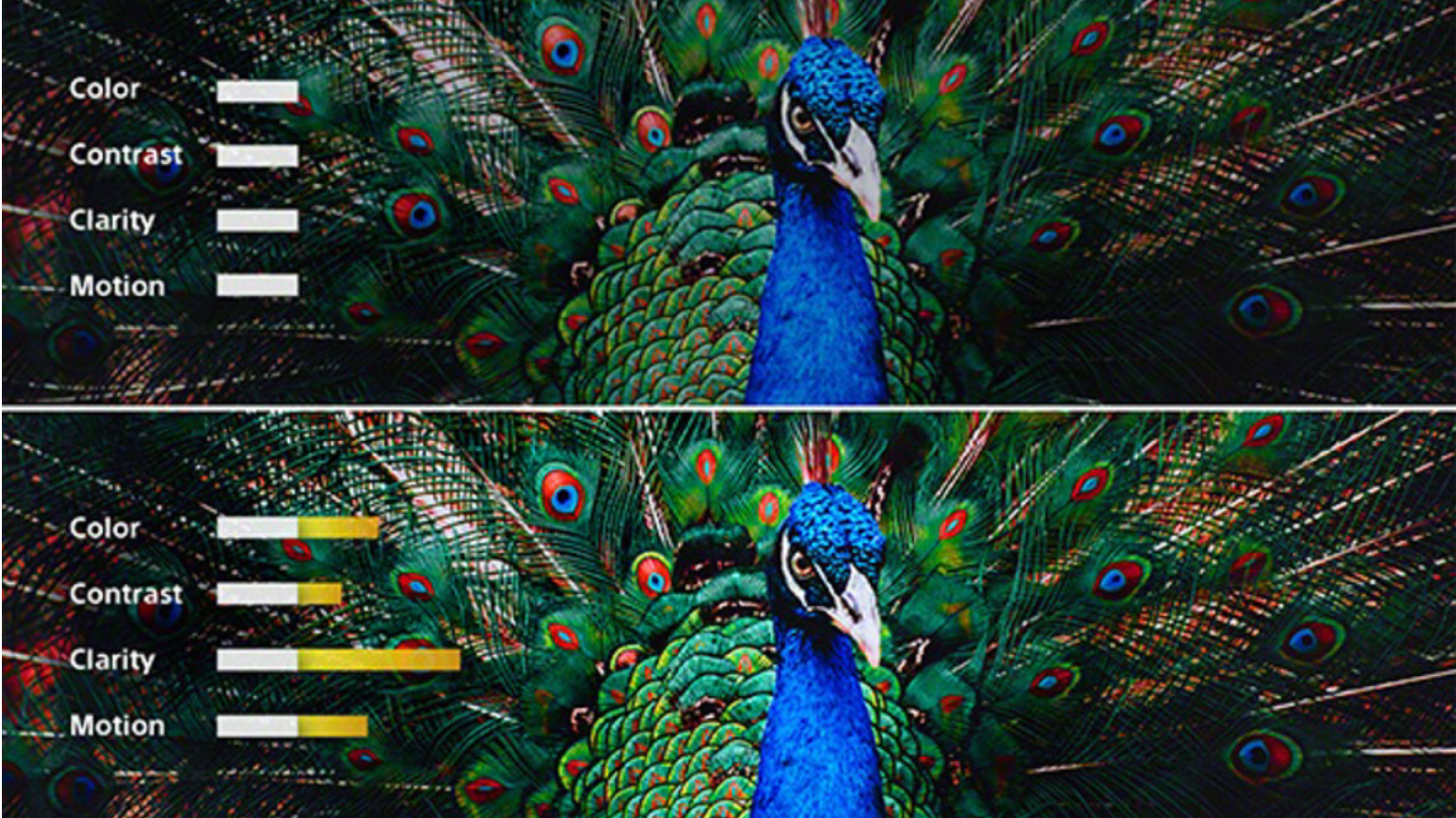 Sony BRAVIA Projector 7 - 4K HDR Laser Home Theater Projector with ...